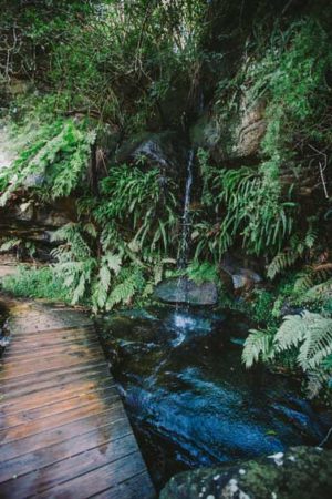 Spit Bridge to Manly Walk - Sydney Coast Walks