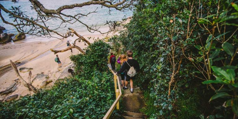 Spit Bridge to Manly Walk - Sydney Coast Walks