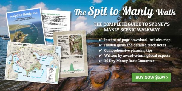 Spit Bridge to Manly Walk - Sydney Coast Walks