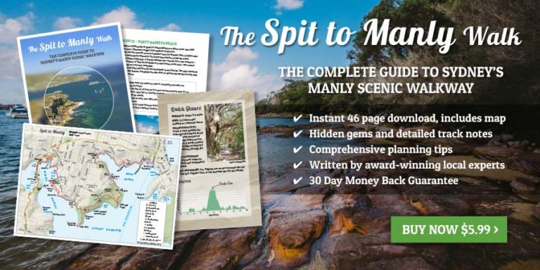Spit Bridge to Manly Walk - Sydney Coast Walks