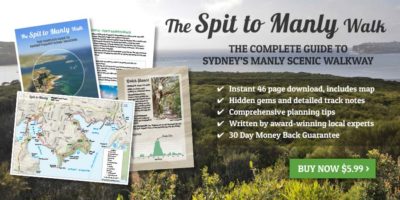 Grotto Point Aboriginal Engraving Site - Sydney Coast Walks