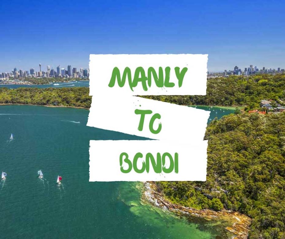 Manly to Bondi Walk - Sydney Coast Walks