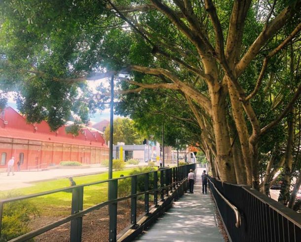 The Goods Line Sydney - Sydney Coast Walks