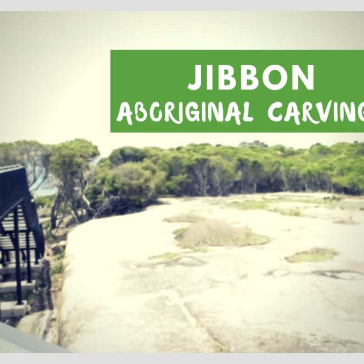 How to get to Figure 8 Pools - Sydney Coast Walks