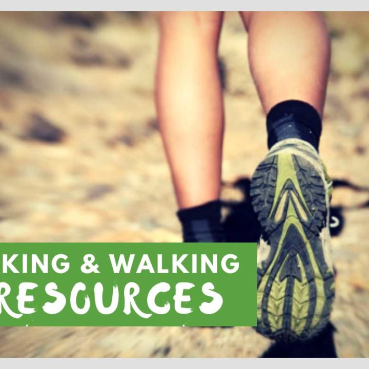 How to get to Figure 8 Pools - Sydney Coast Walks